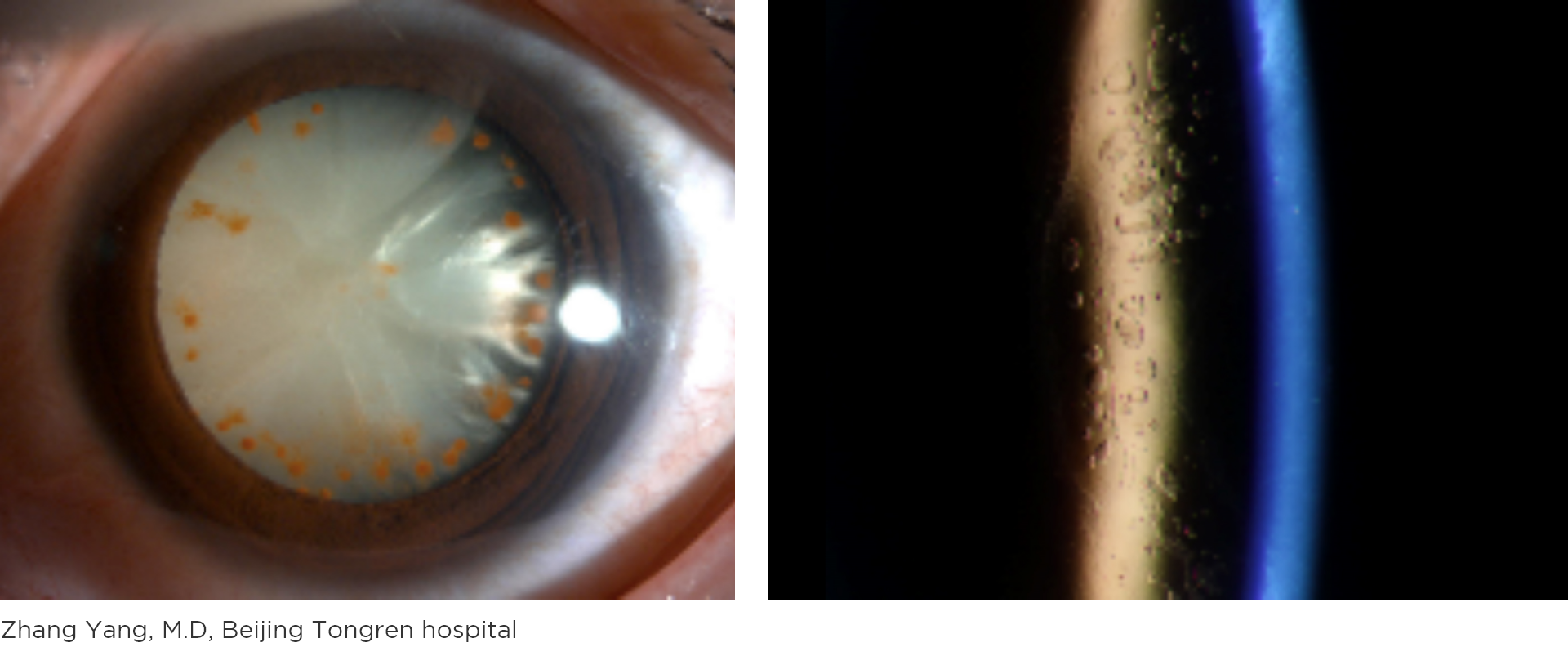 DC-4 - Topcon Healthcare - APAC